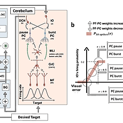 Schematic of the control loop.