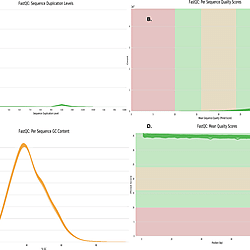 Overall quality control data of the bam files.