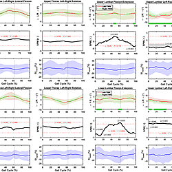Average and standard deviation of upper thorax, lower thorax, upper ...