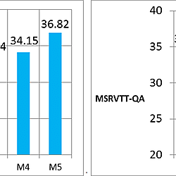 Performance comparison on MSVD-QA and MSRVTT-QA dataset.