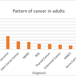 Cancer distribution pattern in adults in Wolaita Sodo University ...