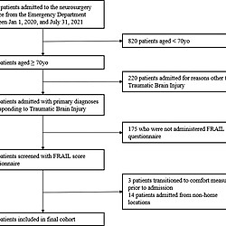Patient selection diagram.