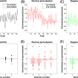 The relevance of each task-relevant module to performance prediction.