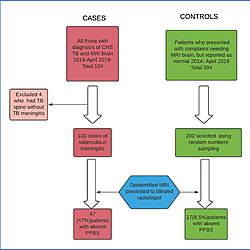 STROBE flow diagram.