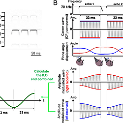 Pulse emission and reflective echo patterns of the simulation.