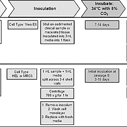 Clinical Isolation Method Comparison.