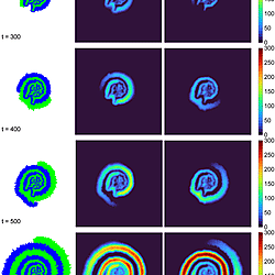 Development of spiral pattern and the corresponding nutrient profiles.
