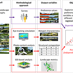 Using eye-tracking simulation and spatial analysis to explain people’s ...