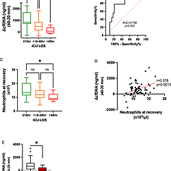 Changes in cfDNA and neutrophil numbers at recovery according to the ...