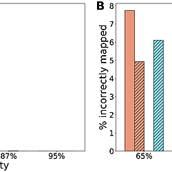 Impact of percent sequence identity on mapping quality.