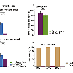 Comparing the different methods to analyze the behavior of mice during ...
