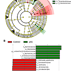 LDA effect size analysis.