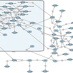 The image generated for one of the pathways in BioModels dataset.