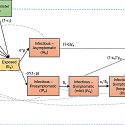 Expanded SEIR model flowchart.