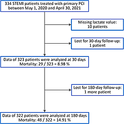 Patient flow chart.