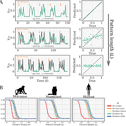 Sequence memory task.