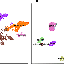 The results of cell visualization and annotation.