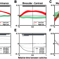 Figure S1 - Perceptual Rivalry: Reflexes Reveal the Gradual Nature of ...