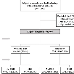 Flow chart of the study.