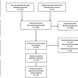 The PRISMA flow chart.