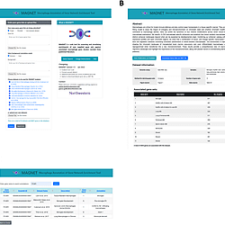 MAGNET user interfaces.
