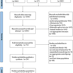 Screening flow chart for the systematic review and metaanalysis.