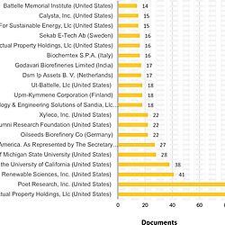 Top patent document applicants.