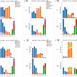 Stacked bar charts of relative abundance (%) of predominant microbiota ...