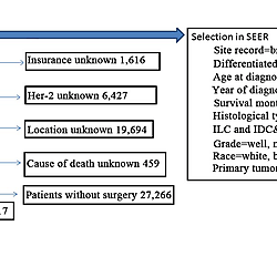 The flow chart of inclusion and exclusion criteria.