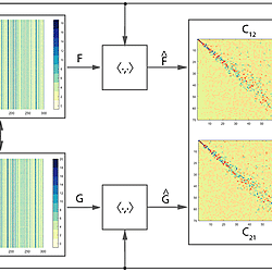 Deep Functional Maps network architecture demonstrating functional and ...