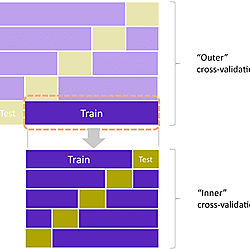 Schematic description of nested cross-validation.