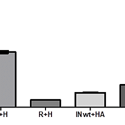 Vector copy number (VCN) measured from karyotyped cell samples.