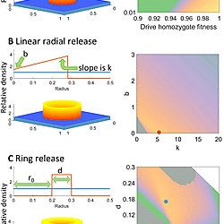 Spatial circular release scenarios for the CifAB drive.