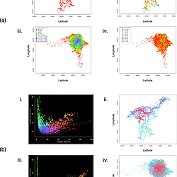 Revisitation and duration (RD) space plots indicated from the hull ...