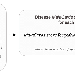 Flowchart depicting generation of pathway based MalaCards scores.