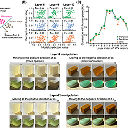 The middle-layers of W+ latent space can effectively modulate translucency of generated images ...