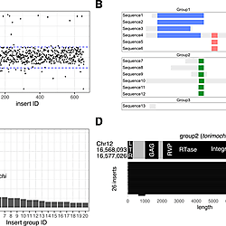 Comprehensive identification and grouping of novel insertion sequences.