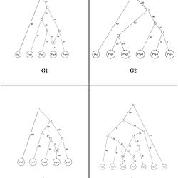 The graphs G1, G2, G3, and G4 used for the comparisons between methods.