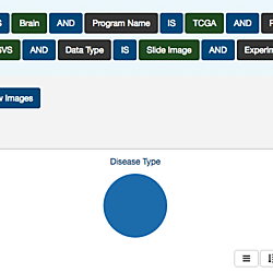 Contains the original query used in the GDC portal to download the images.