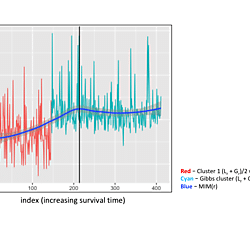 Shows time point/indices at which homotypic CIL is established in the ...