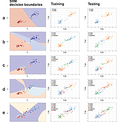 Plot of SVM decision boundaries and corresponding training and test data.