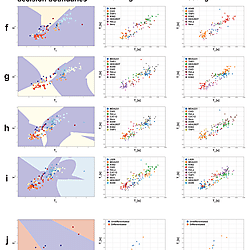 Plot of SVM decision boundaries and corresponding training and test data.