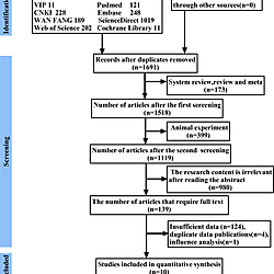 Flow chart of search process.