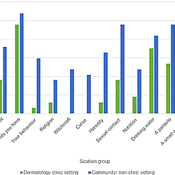 Factors causing scabies in participants in the dermatology clinic ...