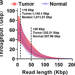 Summary of the long-read sequencing data.