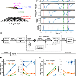 Modeling I: Single process model.