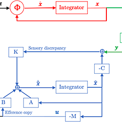 Sensorimotor control of a mechanical system (in red) by input from a computational system (in blue).