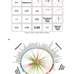 DIABLO analysis and correlations among multiple omics datasets for the five defined SOM clusters.