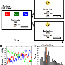 Task design, reward schedule, and sample.