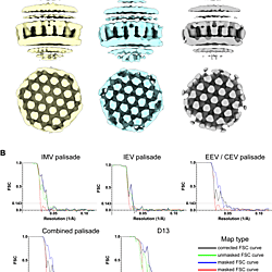 Palisade maps from IMV, IEV, and EEV/CEV.